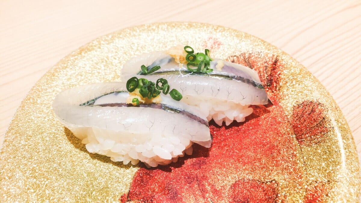 サヨリ【針魚/細魚】の特徴・生態、食べ方や旬を徹底解説！ | とともん